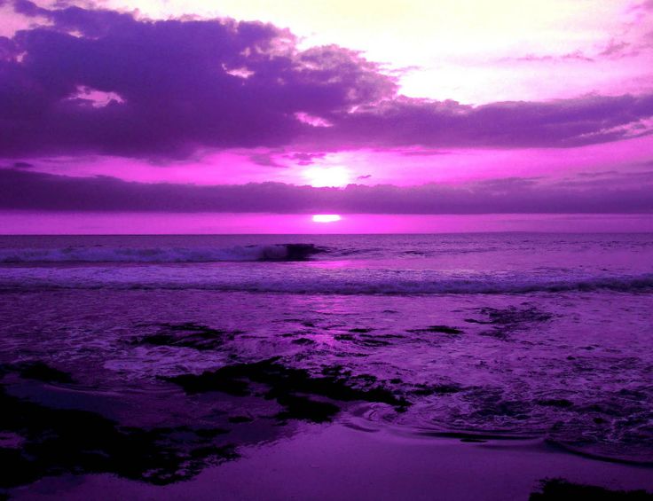 The Day the Oceans Turned Purple (And Could Again)