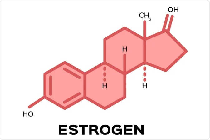 How Estrogen and Testosterone Affect Memory and Emotion