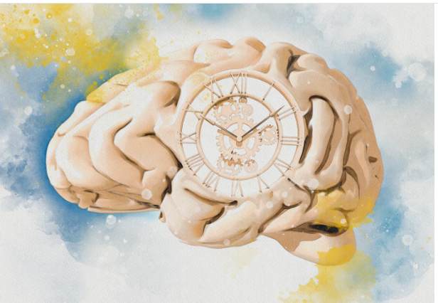 Your Brain Has Three Alarm Systems for Dementia—And They Fire at ...
